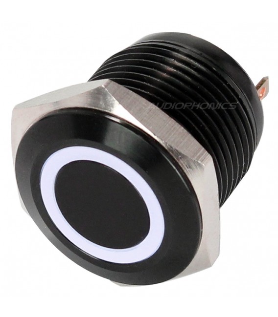 Anodized Aluminium Push Button with White Light Circle 1NO 250V 5A ...