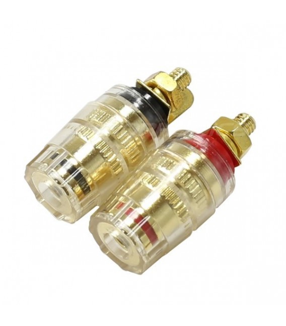 Gold plated Binding posts Ø6,5mm (Pair) - Audiophonics