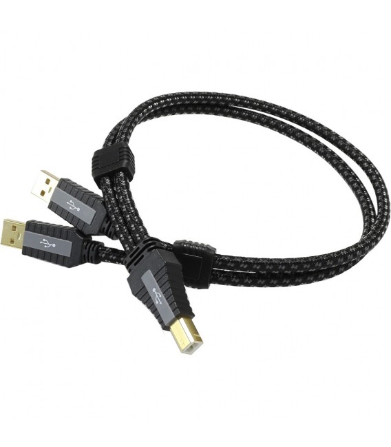 PANGEA PREMIER XL Câble USB-A Male/USB-B Male 2.0 Cardas Copper plaqué ...