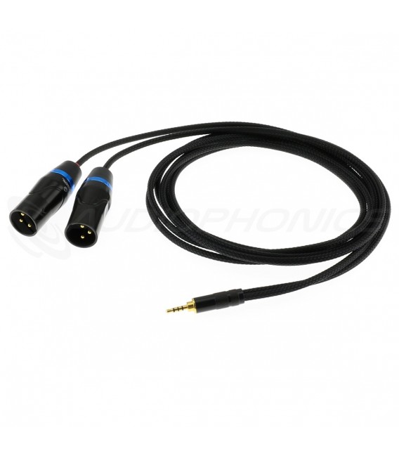 Male Jack 2.5mm to 2x Male XLR Balanced Cable Gold Plated 1,5m ...