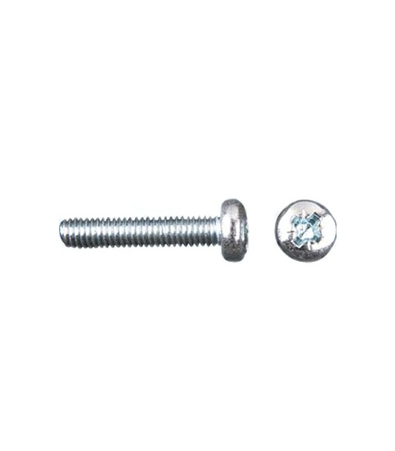 Tcbz Screw Convex Head Cross Shaped Steel M3x20mm X100 Audiophonics