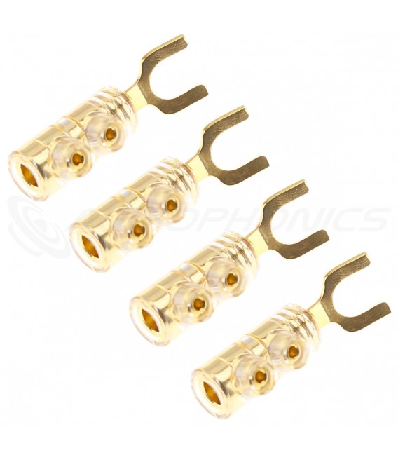 Y1-G Gold plated Spade Ø5.5mm (Set x4) - Audiophonics