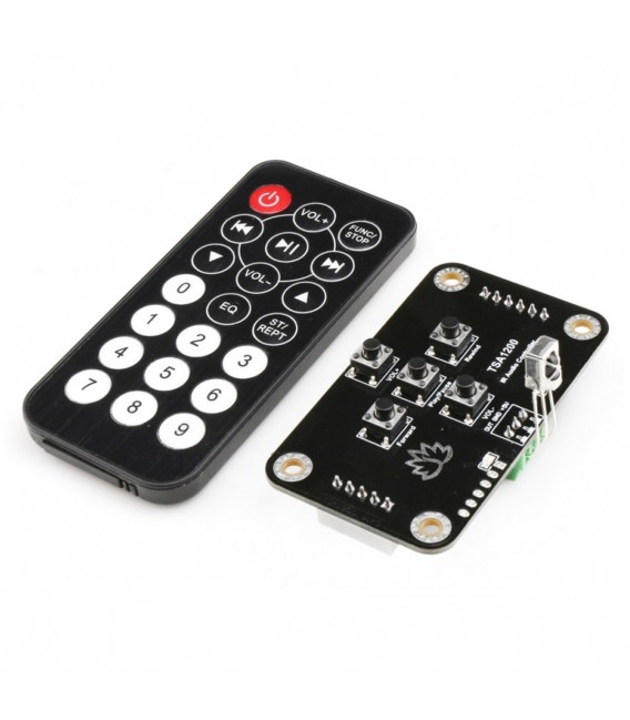 TINYSINE TSA1200 Control Board and IR Remote Control for TinySine TSA ...