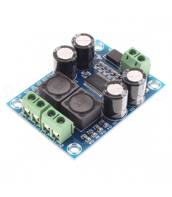 Amplifier Board Class D TPA3110 Mono 30W 4 Ohm - Audiophonics