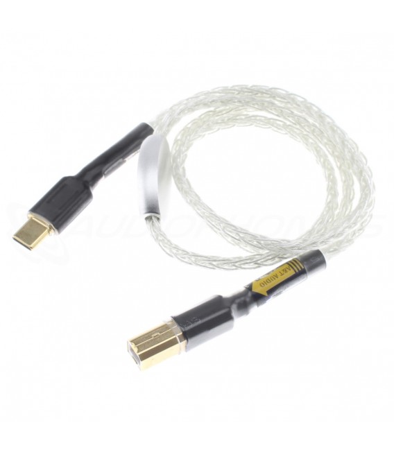 ATAUDIO SILVER Câble USB-C Mâle vers USB-B Mâle Argent Pur OCC 0.75m ...