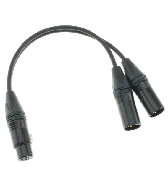 AUDIOPHONICS NEUTRIK Interconnect Cable Signal Splitter 1x XLR Female 3 ...