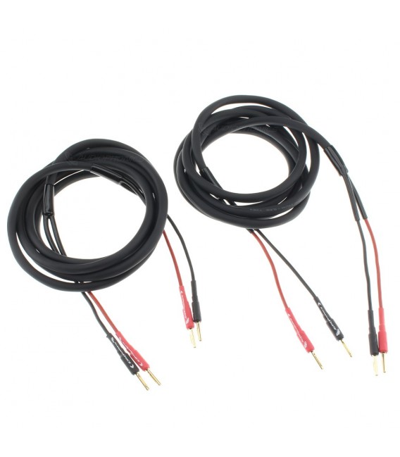 AUDIOPHONICS WIRE Speaker Cables Banana OFC Copper Gold-Plated 3m (Pair ...