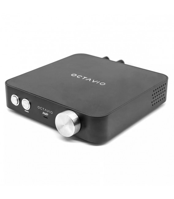 [GRADE A] Octavio AMP Amplifier