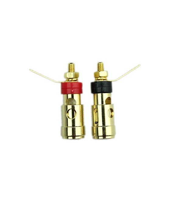 Isolated Speaker Terminals Brass Gold Plated 5mm (Pair) - Audiophonics