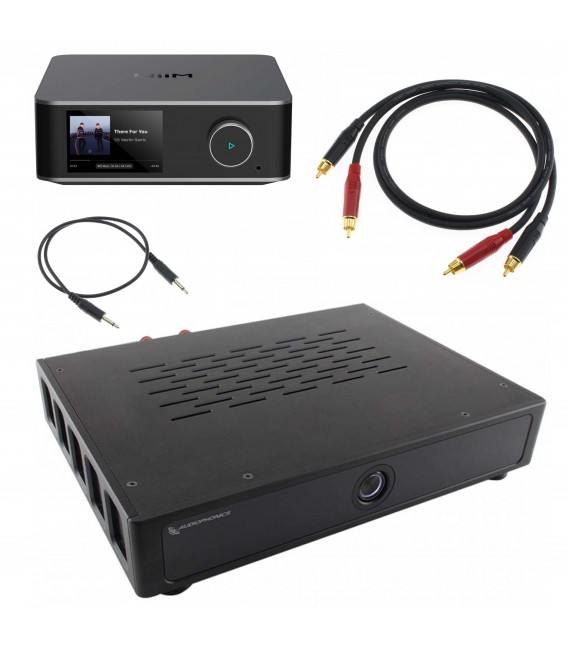 Pack WiiM Ultra Gray + Audiophonics AP300-S250NC + Audiophonics Wire ...