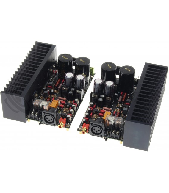 [GRADE A] Module Amplificateur Mono LM3886 avec Radiateurs 2x120W / 8 ...