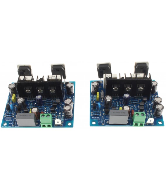 LJM MX50 SE Modules Amplificateurs Mono 100W 8Ω (La paire)