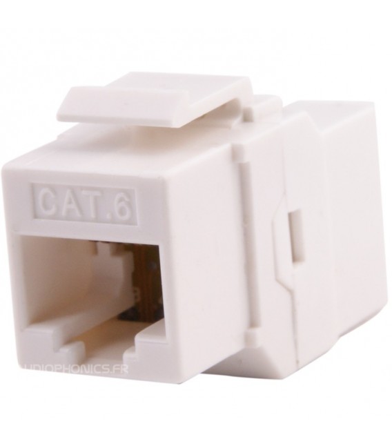 Keystone RJ45 Header - Audiophonics