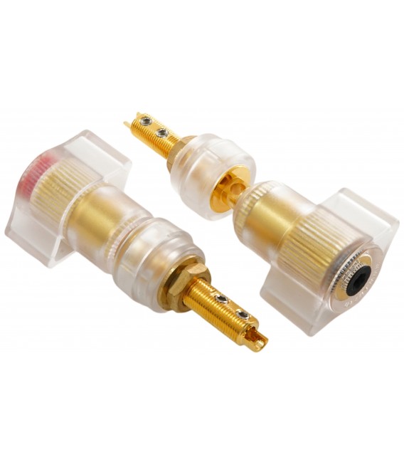 EIZZ EZ-318 Speaker Terminals (Pair)