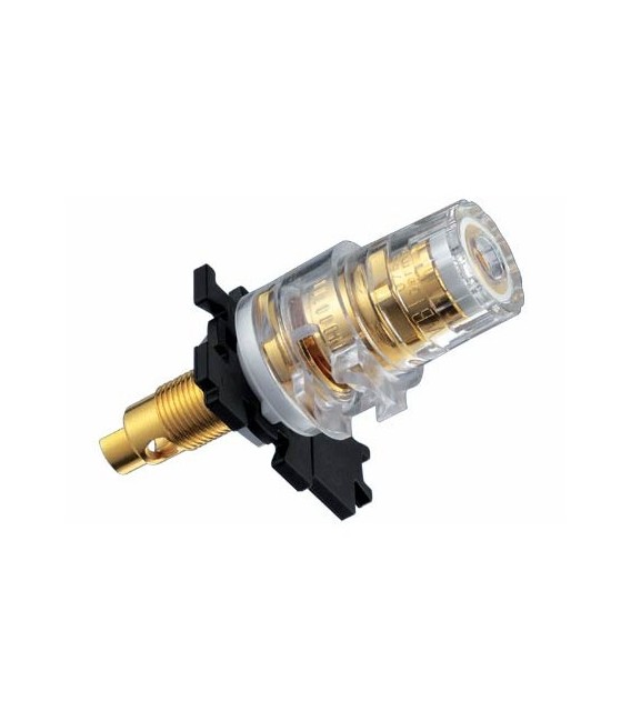 WBT-0765 Midline Gold plated isolated binding post (Set x4) - Audiophonics