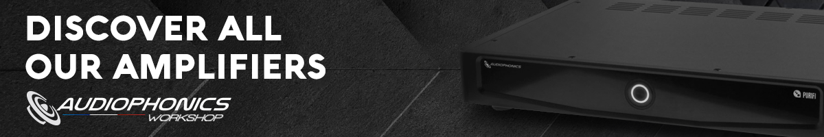 AUDIOPHONICS AP310-P250NC Integrated Amplifier NCore NC252MP