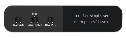 SMSL H300 Headphone Amplifier / Balanced Preamplifier 10W 16 Ohm ...